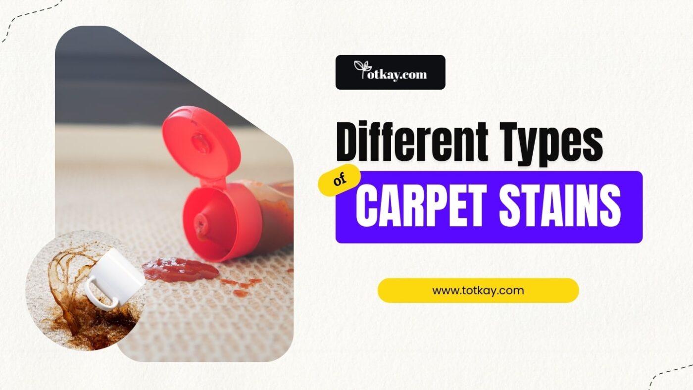 8 Proven Home Remedies to Remove Old Carpet Stains Effectively - Totkay